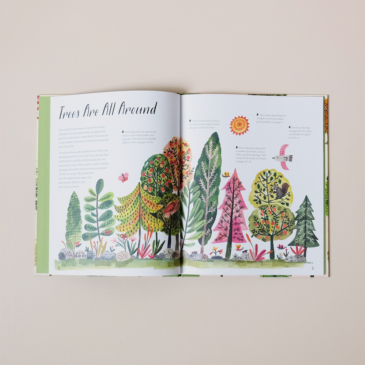 Nature All Around: Trees – Holliday