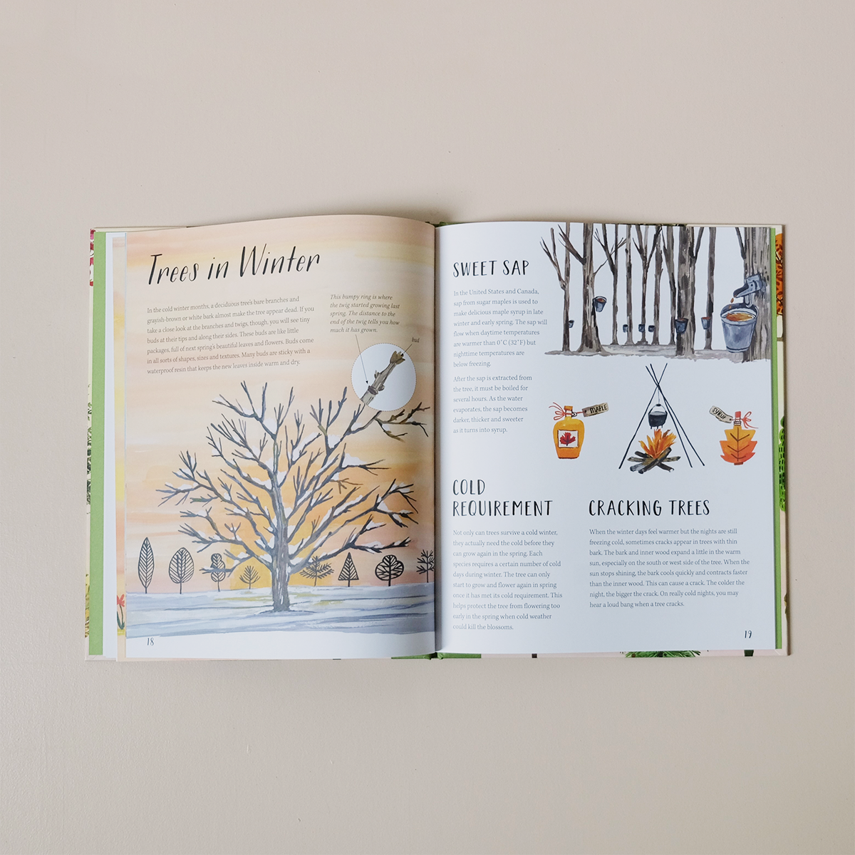 Nature All Around: Trees – Holliday